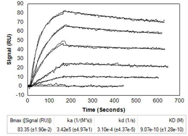 利用P4SPR分子互作仪进行抗体结合分析——比较静态和动态 SPR 特性 - 知乎