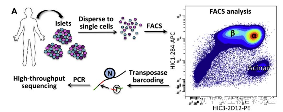ATAC-seq联合RNA-seq思路分享 - 知乎