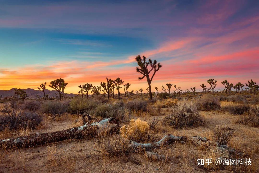 简评 | 堪称微单巨无霸的松下S1/S1R - 知乎
