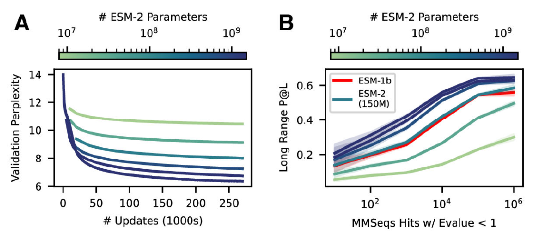 用AI炸场“生命元宇宙”！Meta蛋白质大模型深度解析 - 知乎