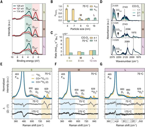 今日Science：调控载体尺寸实现高活性Pd-CeO2单原子催化剂！ - 知乎