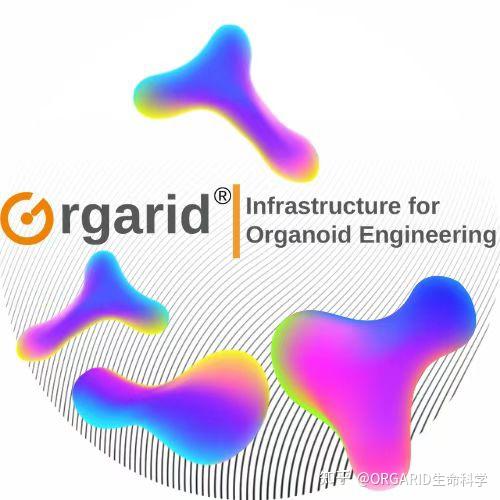 ORGARID介绍 - 知乎