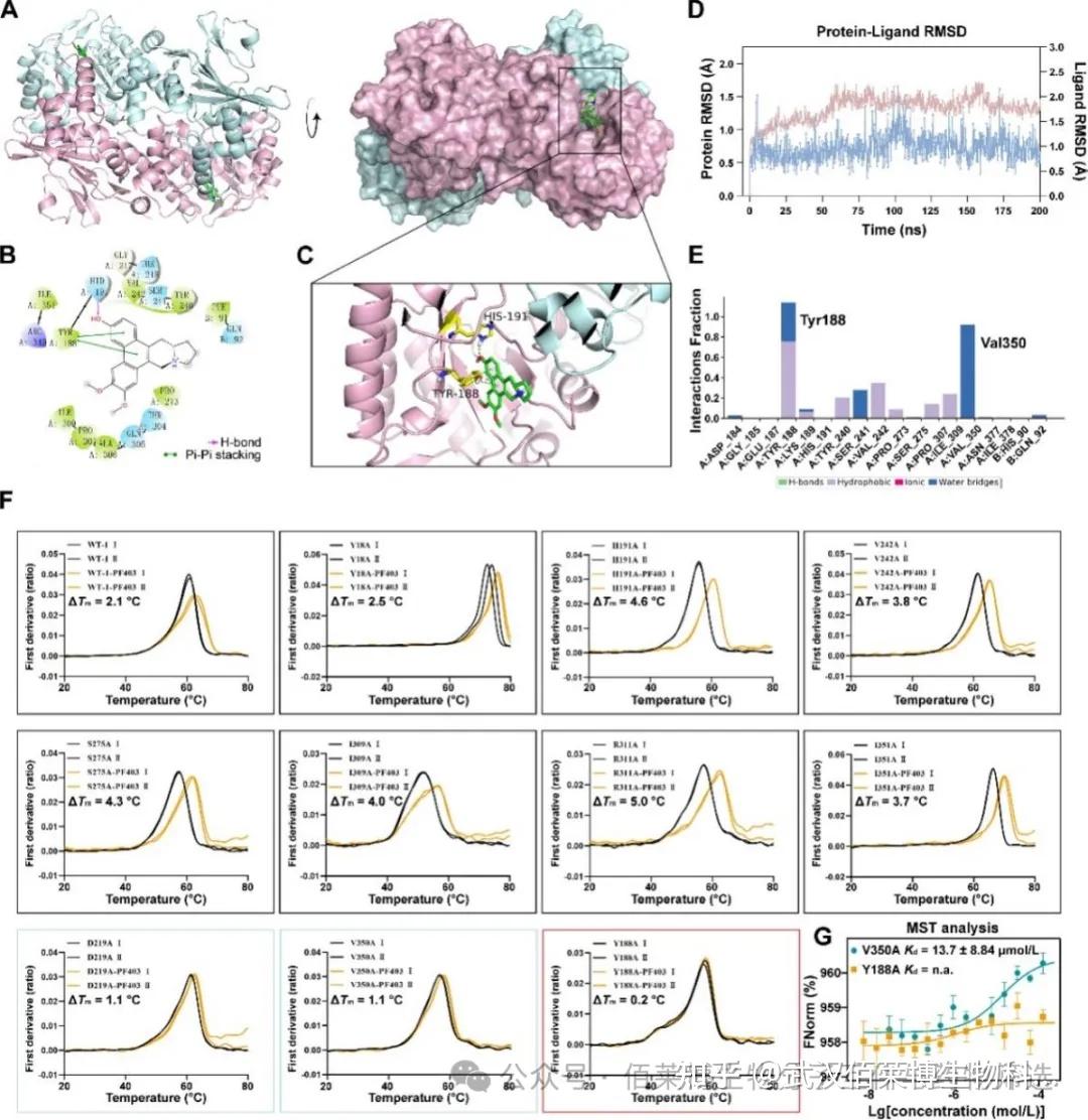 药物与蛋白互作：TPP热蛋白质组学+SPR+MST+ITC+CETSA+计算模拟揭示PF403作用靶点 - 知乎