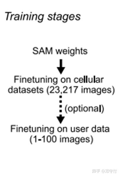 Cellpose-SAM论文自读 - 知乎