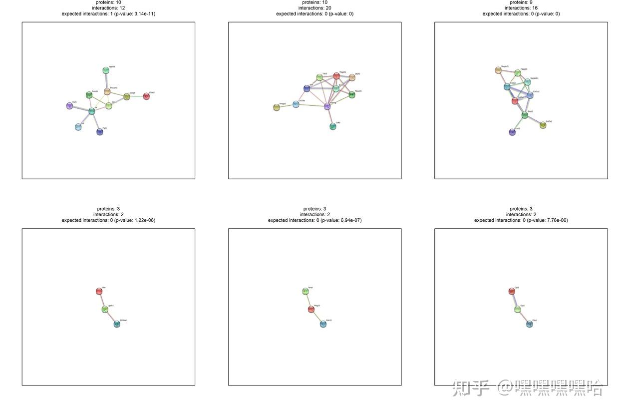 RNA-seq入门实战（九）：PPI蛋白互作网络构建（上）——STRING数据库的使用 - 知乎