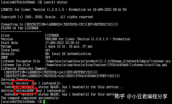 PLSQL连接Oracle数据库详细教程 - 知乎