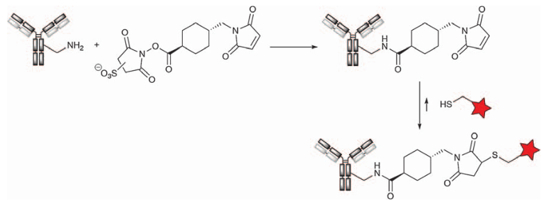 ADC的偶联技术 - 知乎