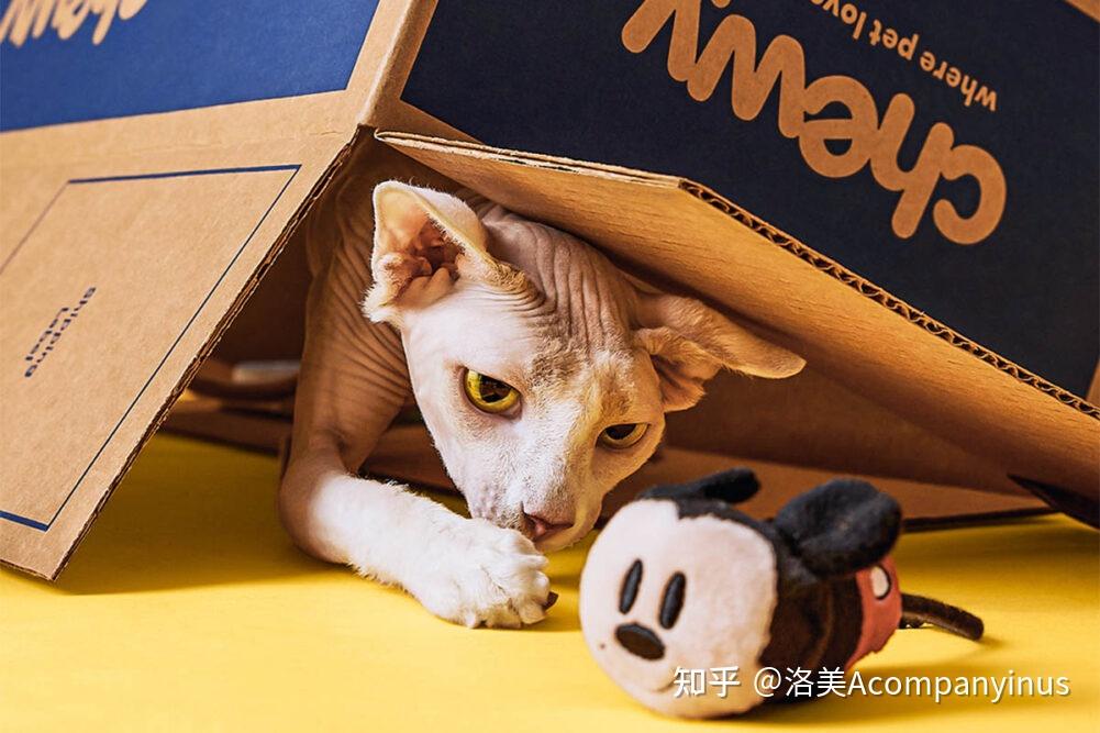 重磅！北美宠物电商巨头Chewy开放中国卖家入驻？！ - 知乎