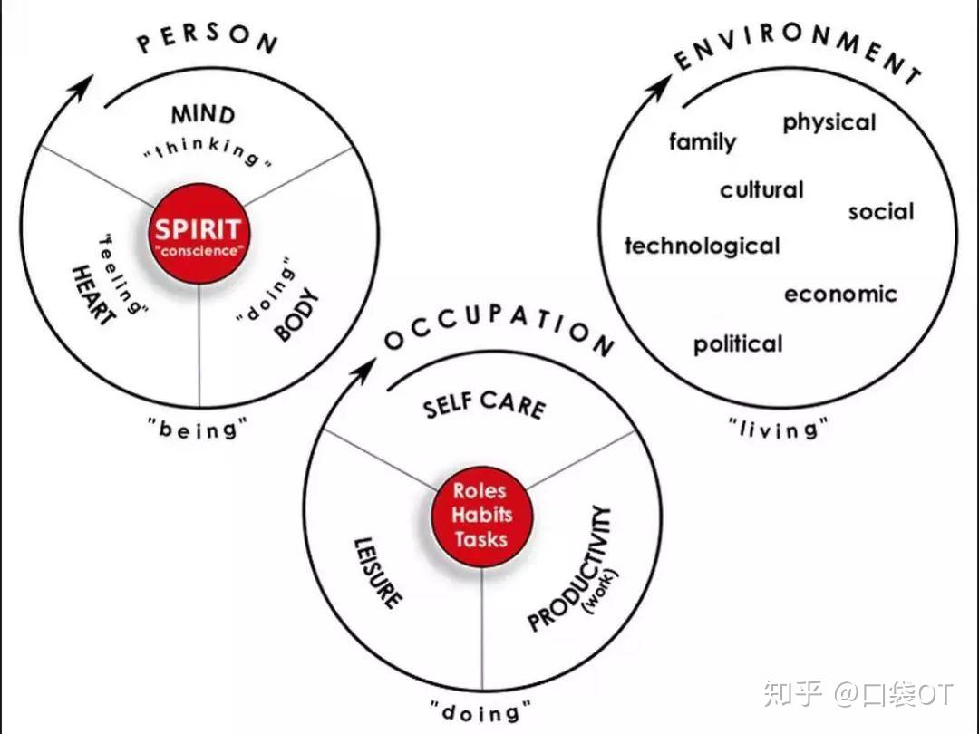 那个我们耳熟能详的PEO Model - 知乎