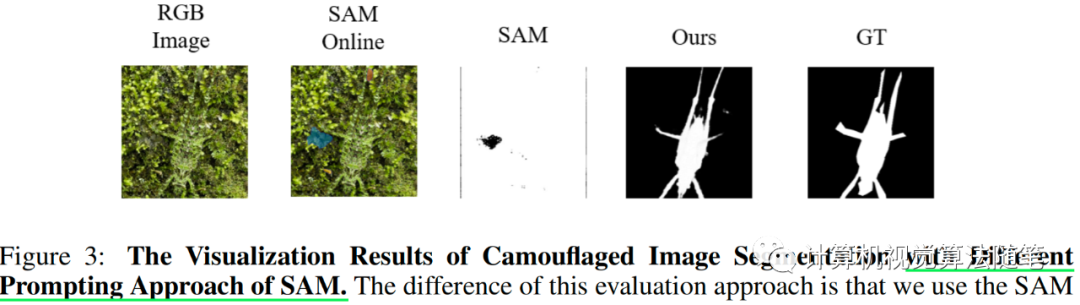 segment anything的花式finetune"姿势"~ - 知乎