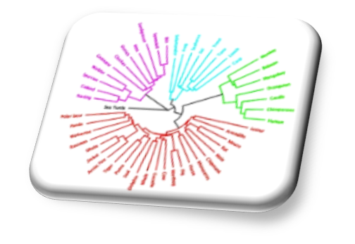 Geneious Prime Version2023.2 更新！ - 知乎
