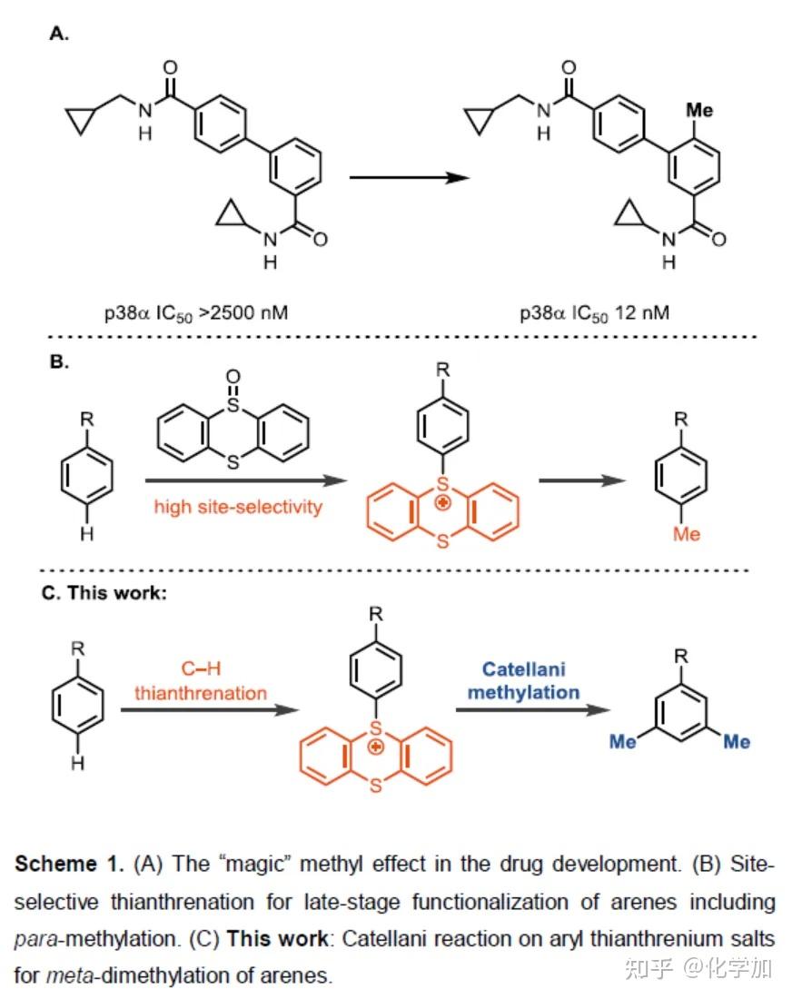 Angew：通过芳基噻蒽鎓盐的Catellani反应实现芳烃的间二甲基化反应 - 知乎