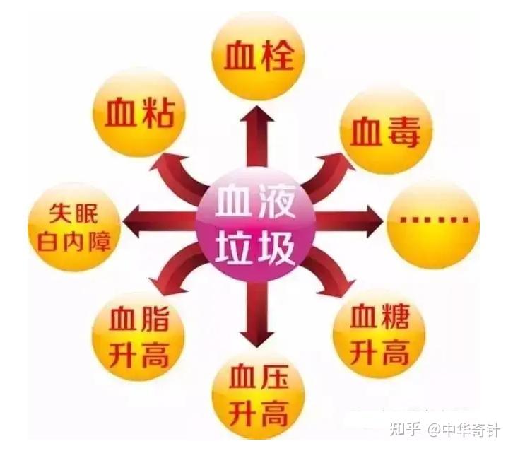 血瘀体质可以这么吃 知乎