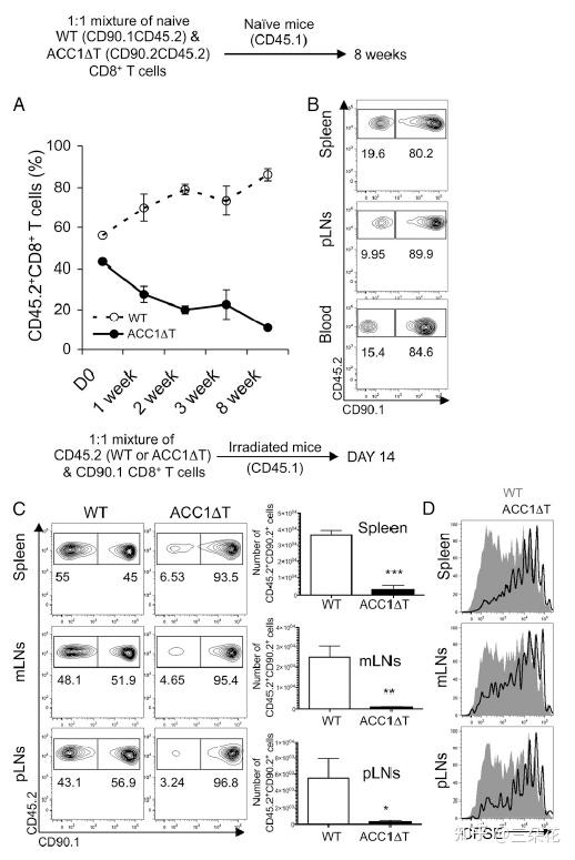 ACC1和ACC2的区别 - 知乎