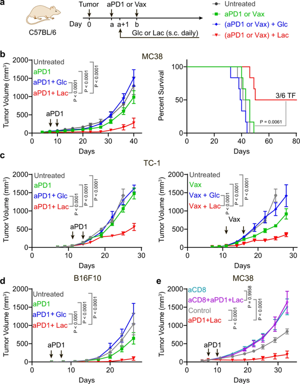 Nat Comm | 乳酸增加CD8 + T细胞的干细胞特性以增强抗肿瘤免疫力 - 知乎