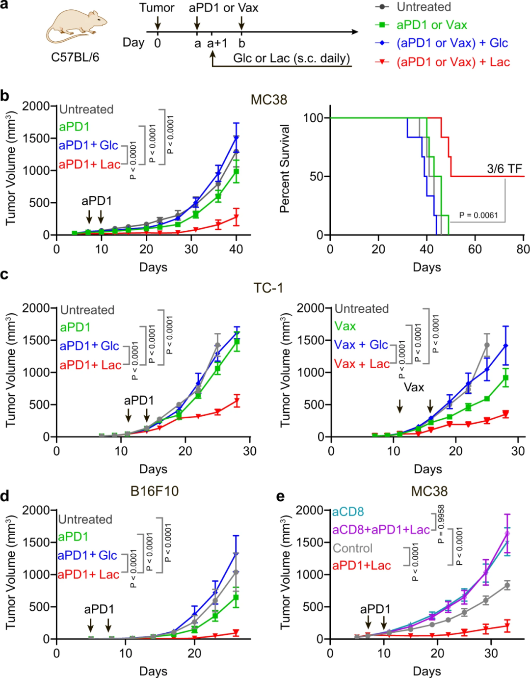 Nat Comm | 乳酸增加CD8 + T细胞的干细胞特性以增强抗肿瘤免疫力 - 知乎