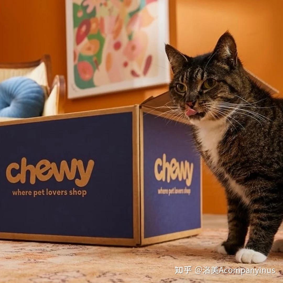 Chewy向中国卖家开放！宠物电商的新机遇，还是另一场“价格战”？（含入驻通道） - 知乎