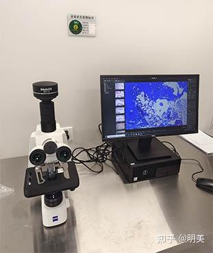 显微镜相机助力微生物拍摄与分析 - 知乎