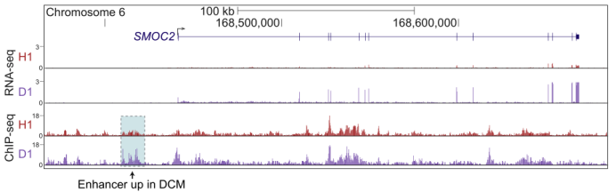 组蛋白ChIP-seq研究思路及应用案例分享 - 知乎