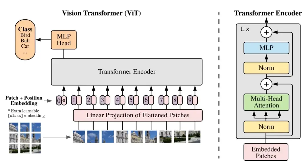 SigLiP模型介绍 - 知乎
