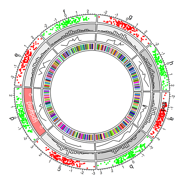 circlize（一）：引言 - 知乎