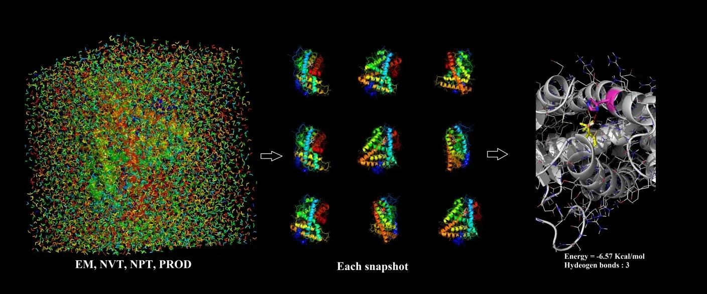 NAMD分子动力学入门——计算整个蛋白的RMSD值 - 知乎