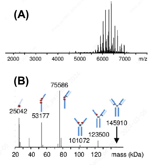 生物分析 | 基于LCMS的ADC药物体内DAR研究策略 - 知乎