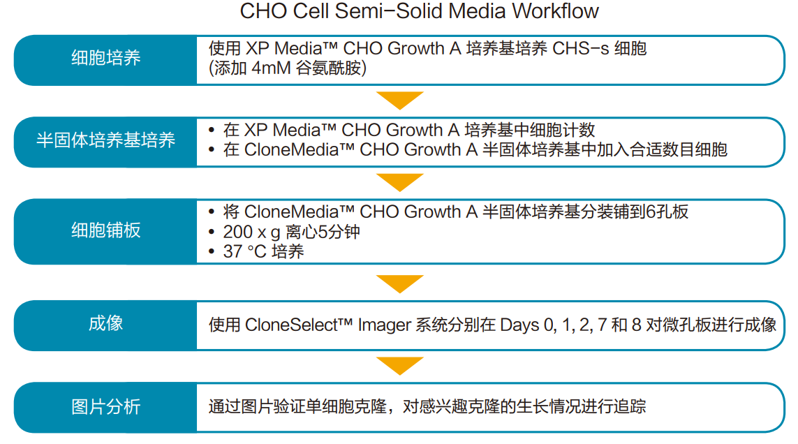 使用CloneSelect Imager系统在半固体培养基中进行单克隆验证 - 知乎