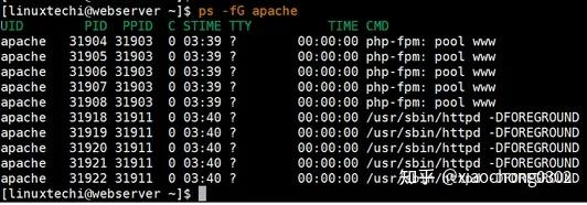 通过20个实例掌握 Linux PS 命令 - 知乎