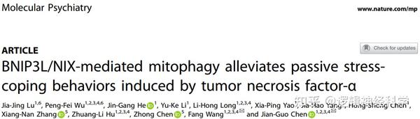 Mol Psychiatry︱华中科技大学陈建国/王芳团队揭示NIX介导的线粒体自噬损伤在炎症致抑郁症发生中扮演重要作用 - 知乎
