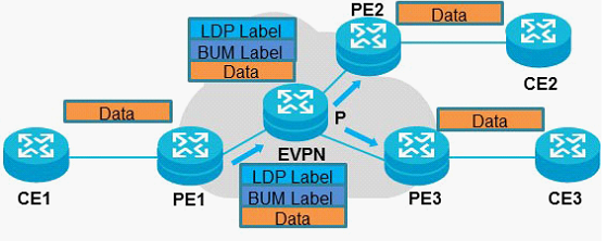 读透，什么是 EVPN ？ - 知乎