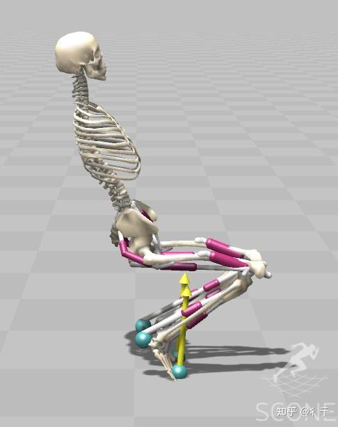 基于OPENSIM的预测性仿真研究软件——SCONE（1） - 知乎