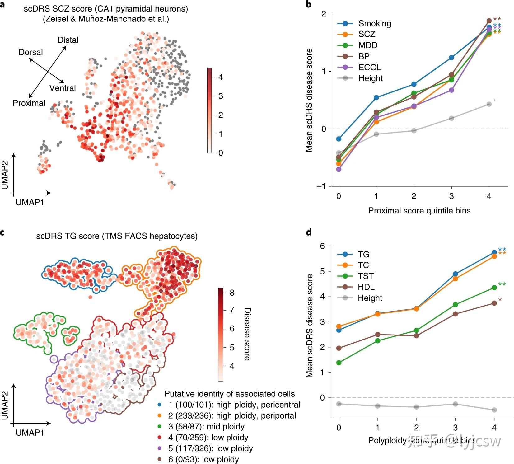 scDRS:整合GWAS与单细胞分析捕捉疾病相关细胞群 - 知乎