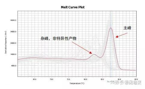 技能学习——Qpcr结果分析（原理和溶解曲线） - 知乎