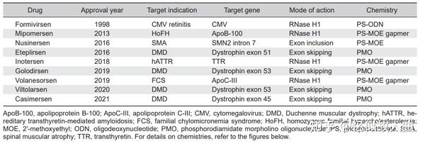 反义寡核苷酸疗法 - 知乎