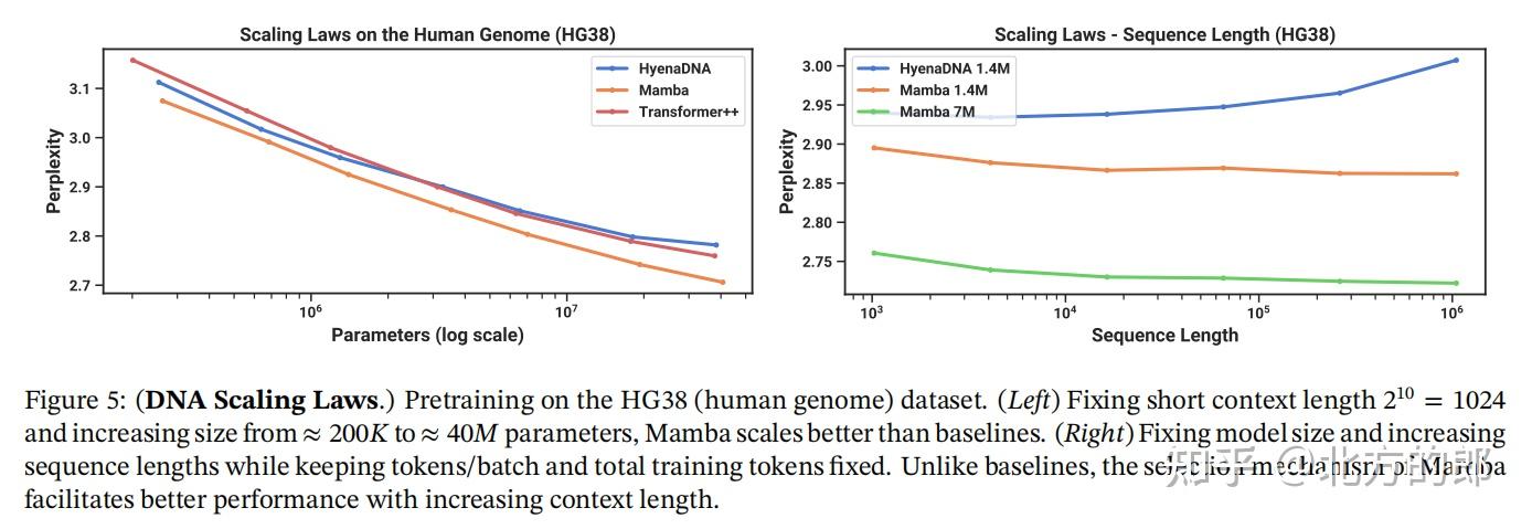 揭开 Mamba 模型的神秘面纱, Transformer的强力挑战者 - 知乎