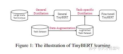 TinyBERT-模型蒸馏 - 知乎