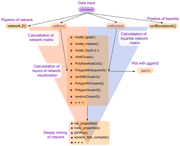 iMeta | 南农沈其荣团队发布微生物网络分析和可视化R包ggClusterNet - 知乎
