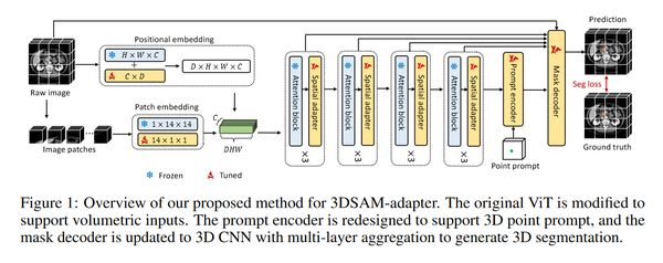 SAM在医学影像中的应用（最新） - 知乎