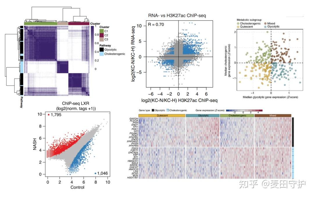 系统的跟着18篇CNS文章学单细胞多组学分析（含空间转录组、chipseq、RNAseq、Atacseq和外显子） - 知乎