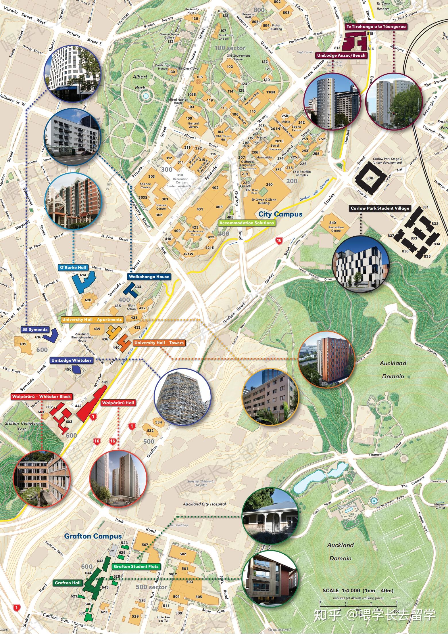 UOA奥大最强住宿及租房攻略 - 知乎