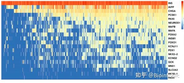 数据可视化——用R绘制热图 - 知乎