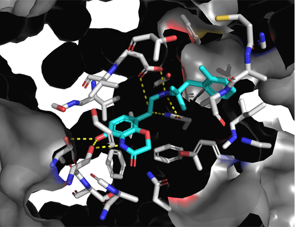 pymol Ray出图 - 知乎