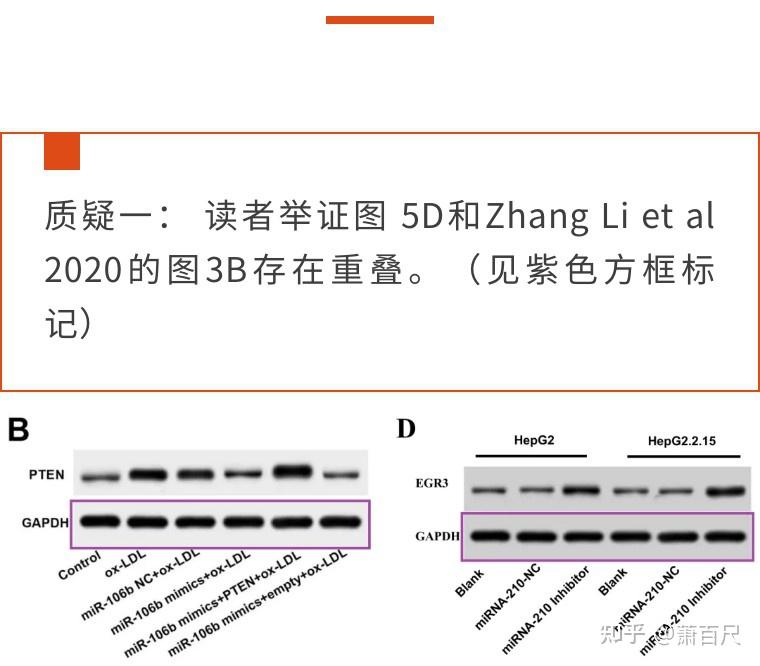 青岛市第六人民医院的论文被质疑，因与数篇他人论文图片重叠 - 知乎