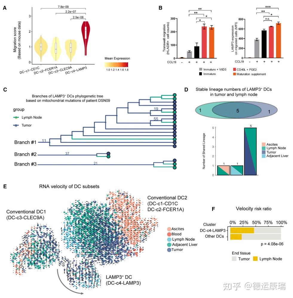 由静至动，单细胞测序告诉你“我是谁？我从哪里来？我到哪里去？” - 知乎