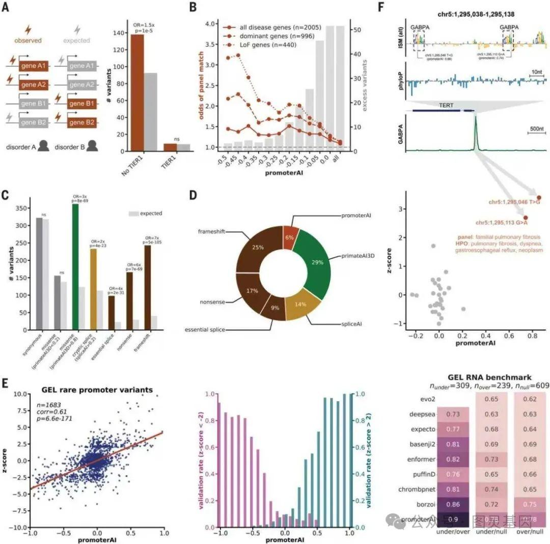 Science | 深度学习新突破！PromoterAI 精准捕捉启动子变异，为罕见病基因诊断添新力 - 知乎