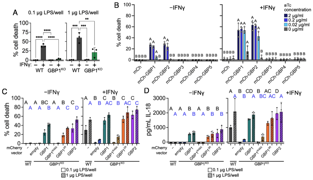 PNAS丨LPS 聚集蛋白 GBP1 和 GBP2 都足以增强体内和离体的 caspase-4 活化 - 知乎