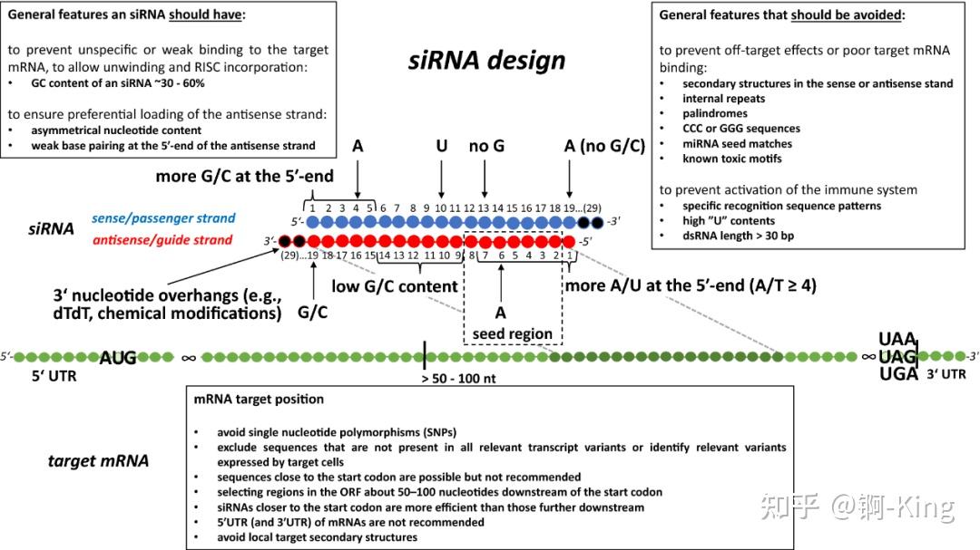 治疗性siRNA：最新进展和未来前景 - 知乎