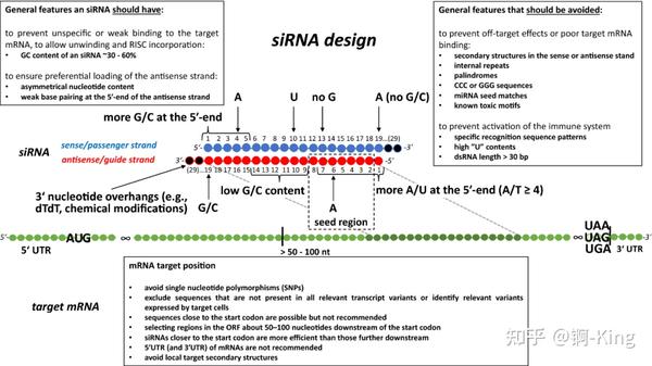 治疗性siRNA：最新进展和未来前景 - 知乎