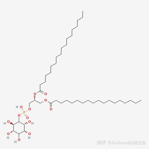 L α 磷脂酰肌醇;磷脂酶c底物 知乎